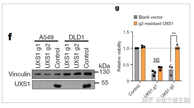 Nature：5篇文献盘点肿瘤研究最新进展，最后一点你绝对想不到！ - 知乎
