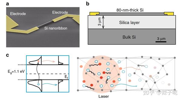 Giant photothermoelectric effect in silicon nanoribbon photodetectors - 知乎