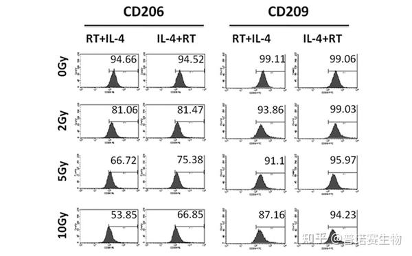 细胞学堂 | RAW 264.7诱导极化及鉴定大全 - 知乎