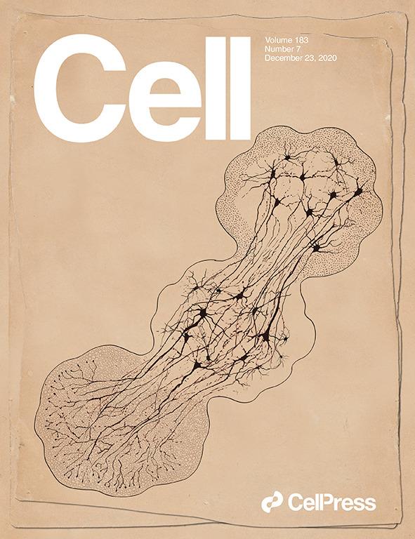 科学与艺术的结合！《CELL》100+张期刊封面鉴赏｜2020年篇 - 知乎