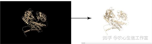 超实用！用ChimeraX对AlphaFold 结果可视化（中）: 蛋白结构美化篇 - 知乎