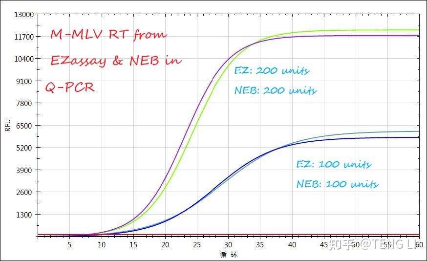 M-MLV（H-）逆转录酶 - 知乎