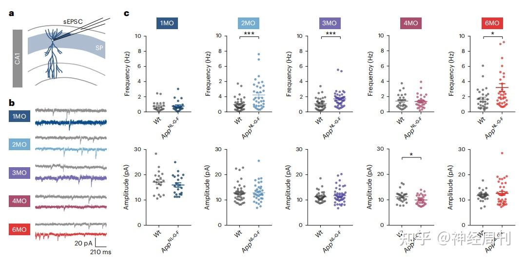AD疾病神经元过度激活和睡眠障碍或与MCH功能紊乱相关 - 知乎