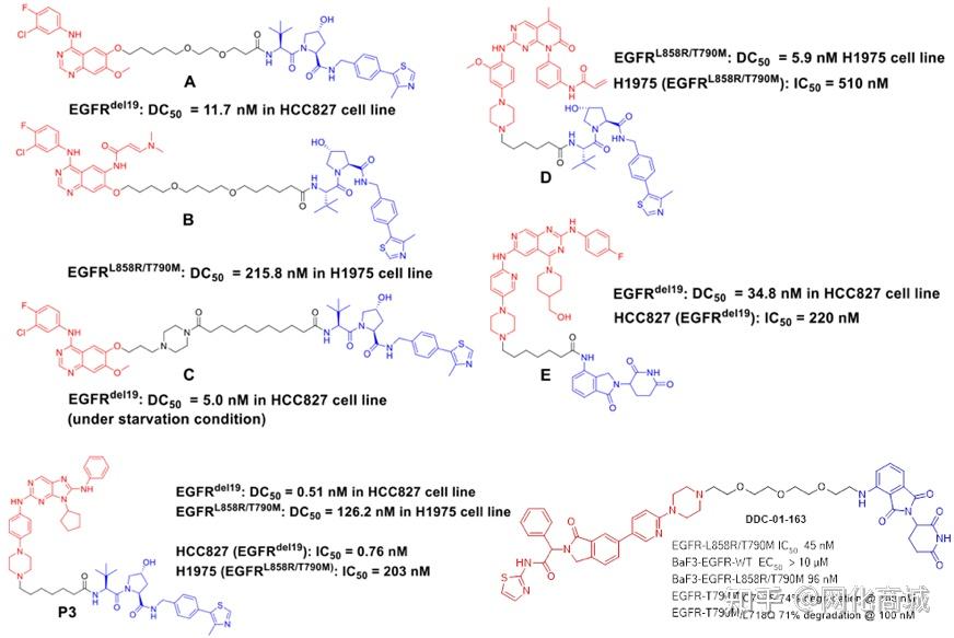 新药研发利器：PROTAC技术（最全解读） - 知乎