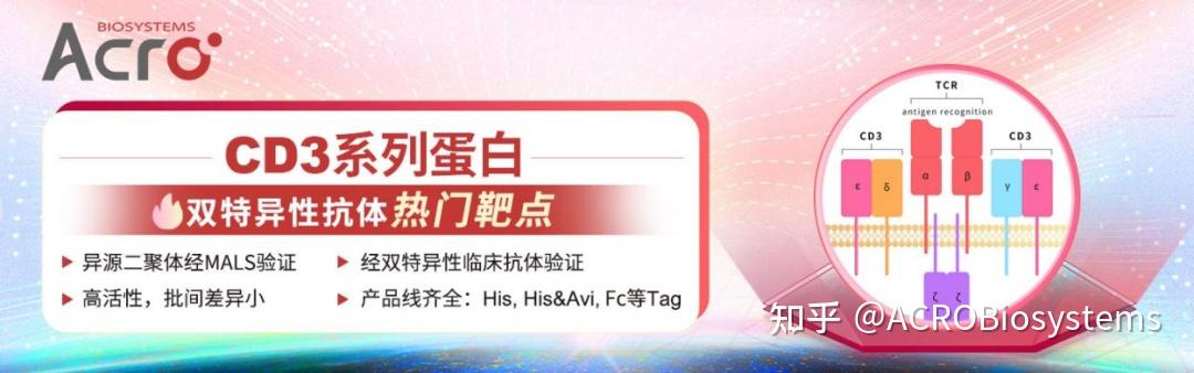 CD3：双抗领域热门“元素”解读 - 知乎