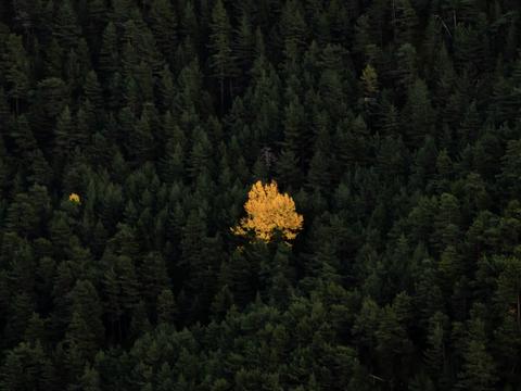 Palabos Tutorial 阅读笔记 | 第一部分整理：FIRST STEPS WITH PALABOS - 知乎