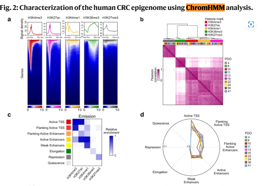 为什么需要ChromHMM? - 知乎