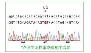 Prime editing 101：一文带你读懂先导编辑 - 知乎