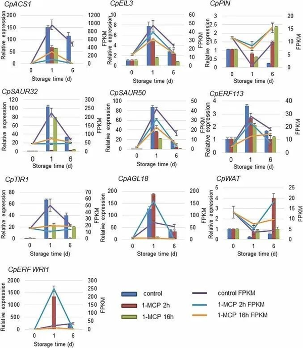 项目文章 | IF>6! ATAC-seq联合RNA-seq揭示转录因子AGL18通过乙烯-生长素交互作用调控番木瓜成熟 - 知乎