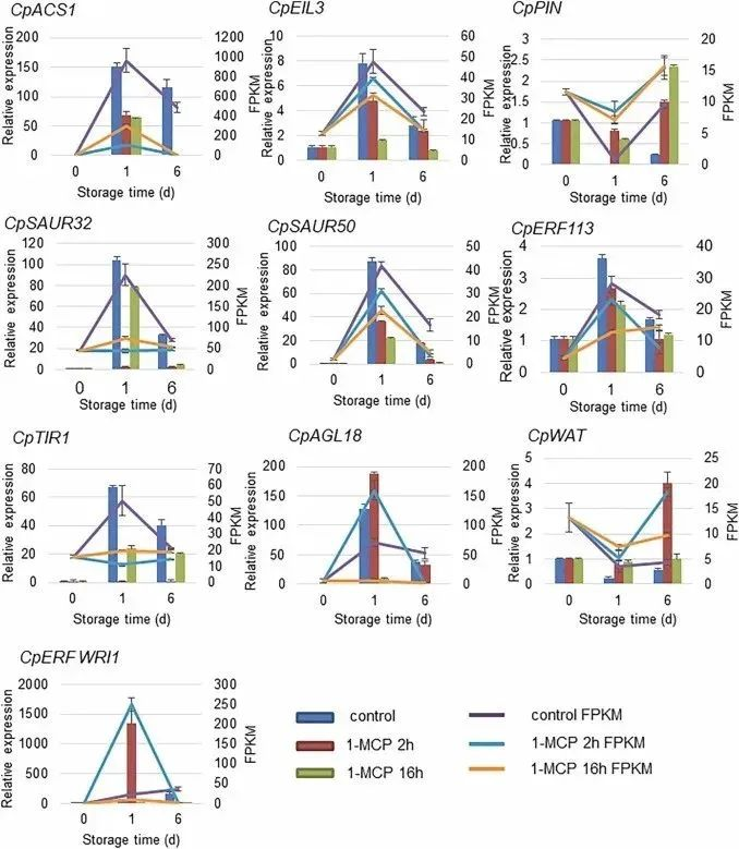项目文章 | IF>6! ATAC-seq联合RNA-seq揭示转录因子AGL18通过乙烯-生长素交互作用调控番木瓜成熟 - 知乎