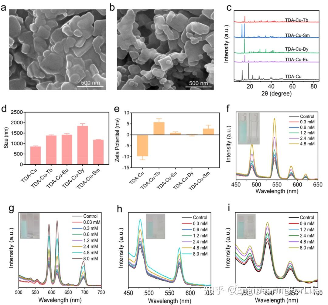 《ACS Nano》：通过靶向唾液酸进行肿瘤诊断和治疗的镧系元素配合物 - 知乎