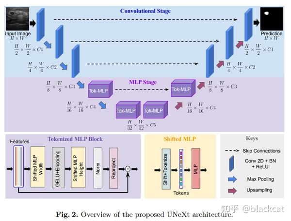 论文速读-UNeXt: MLP-based Rapid Medical Image Segmentation Network - 知乎