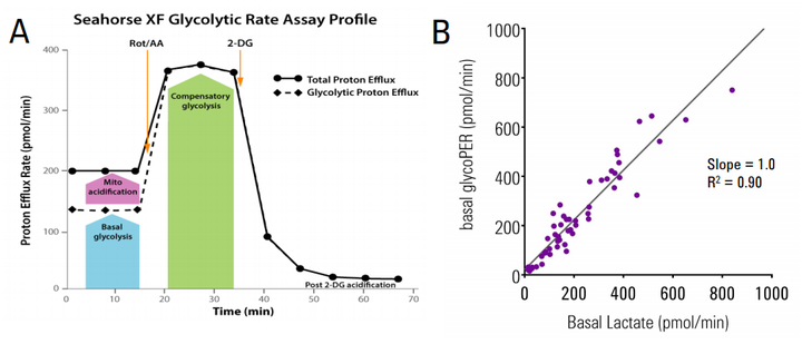 用Seahorse检测线粒体功能和细胞代谢状况 - 知乎