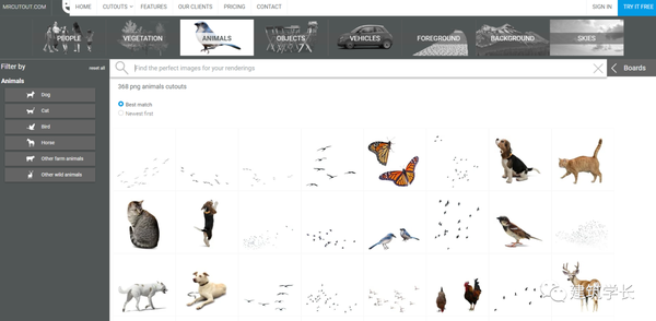 吐血整理！14个宝藏级免抠PS素材网站推荐| 在线浏览，一键免费下载 - 知乎