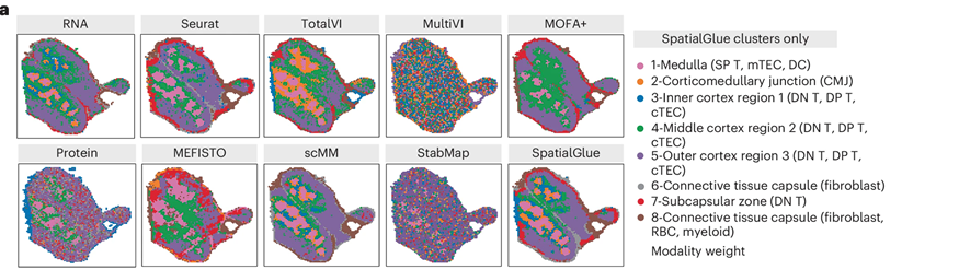 分享一个空间多组学整合算法SpatialGlue - 知乎