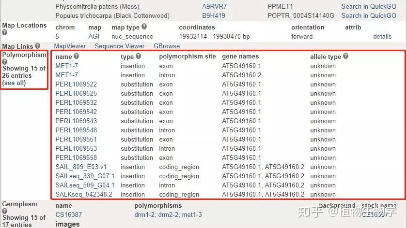 拟南芥种子订购详细攻略-TAIR-ABRC篇 - 知乎