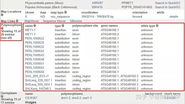 拟南芥种子订购详细攻略-TAIR-ABRC篇 - 知乎