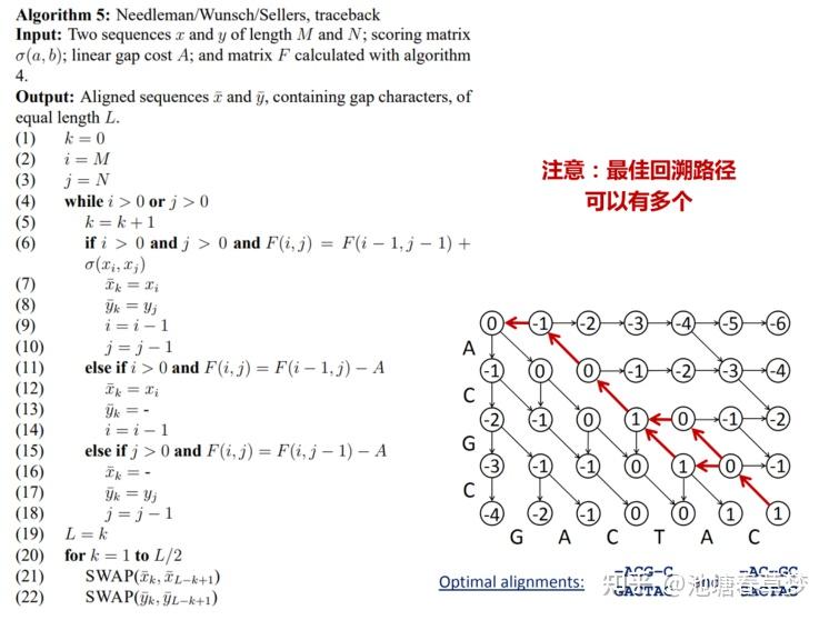 【序列比对】Needleman-Wunsch和Smith-Waterman算法py实现（多条回溯路径，超详细注释） - 知乎
