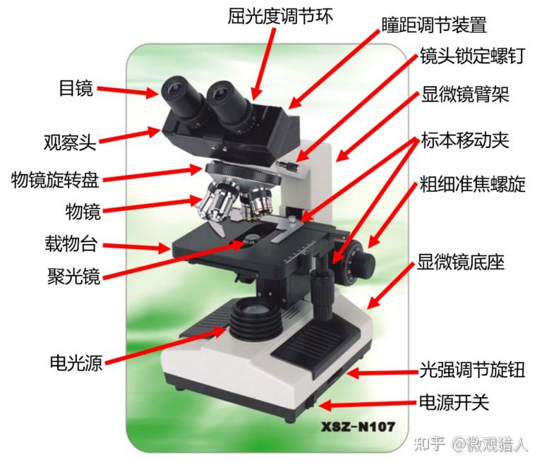 显微基础丨②认识显微镜及选购建议 - 知乎