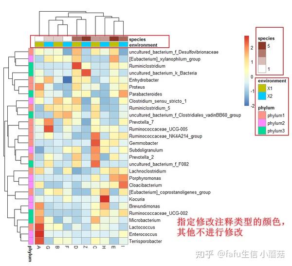 R语言pheatmap包绘制热图进阶教程 - 知乎