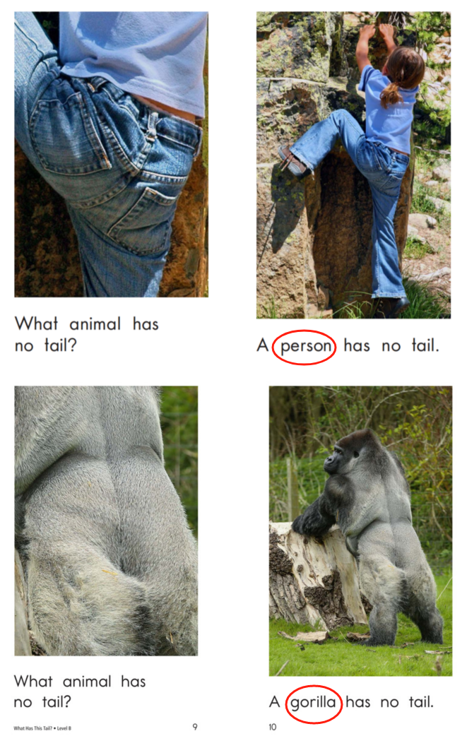 线上系统果然方便，RAZ悄悄就把自己的“错误”改掉了... - 知乎