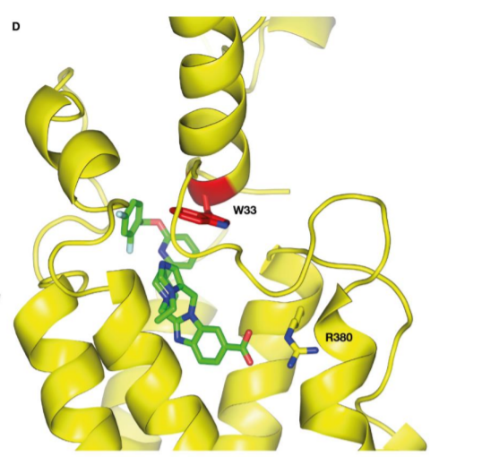 小分子GLP-1R激动剂最新研发进展 - 知乎