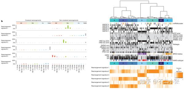 Somatic与germline 变异检测在生信分析实践中的差异 知乎