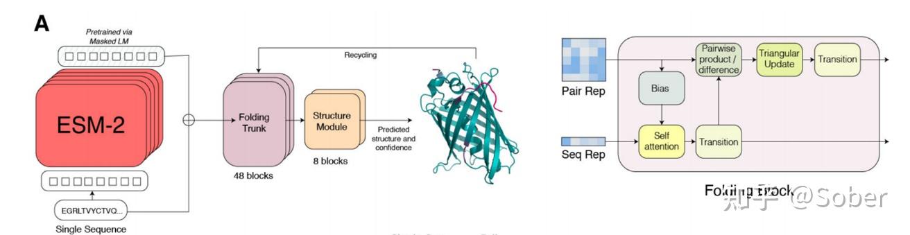蛋白单序列结构预测模型哪家强？ - 知乎