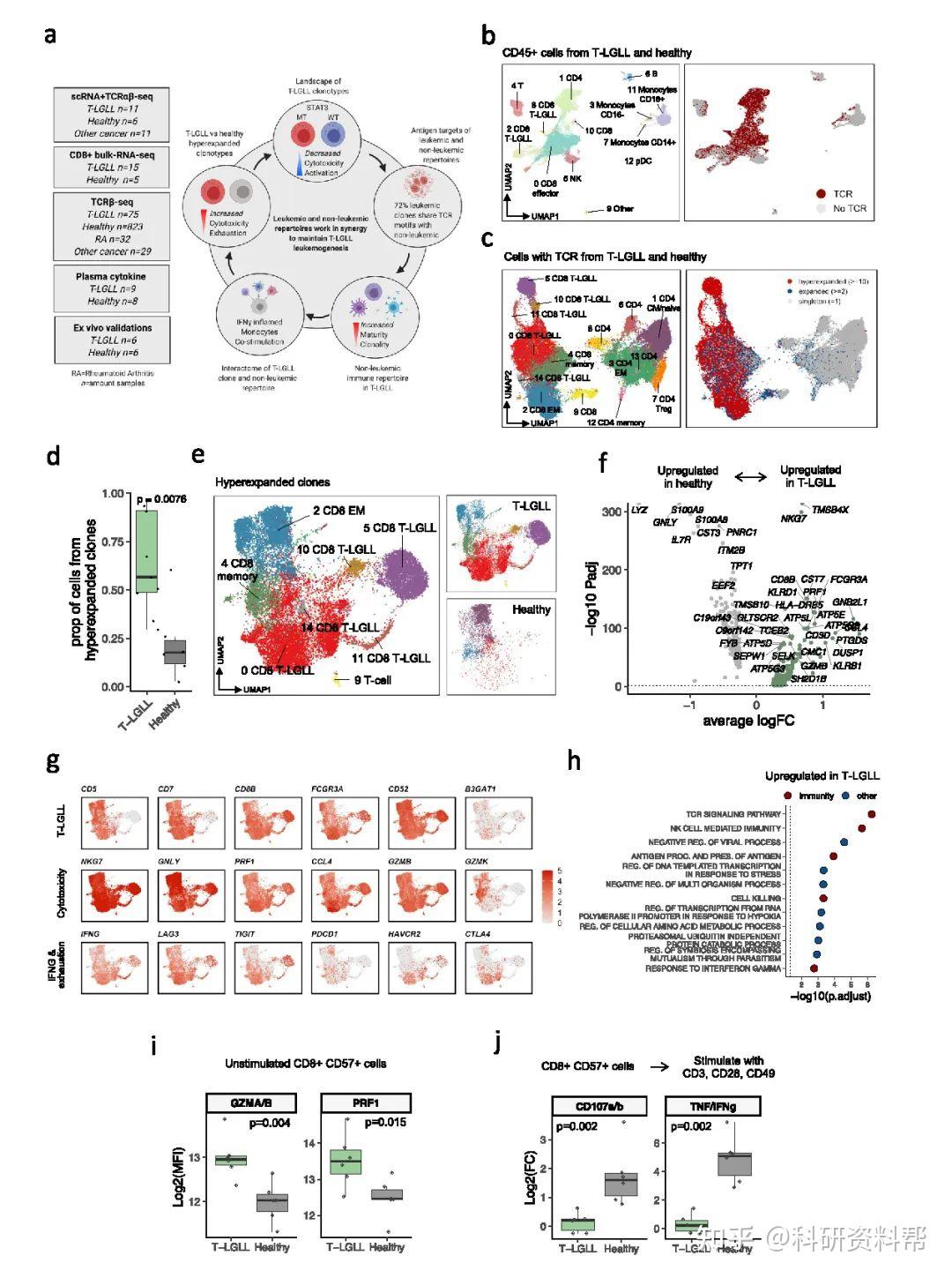 文献解读 | CD8⁺T-LGLL单细胞免疫组特征的描绘 - 知乎