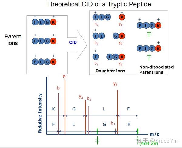 蛋白质组数据的获取与分析 - 知乎