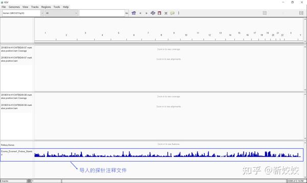 IGV快速上手指南（二）——查看靶向捕获测序数据及探针文件 - 知乎