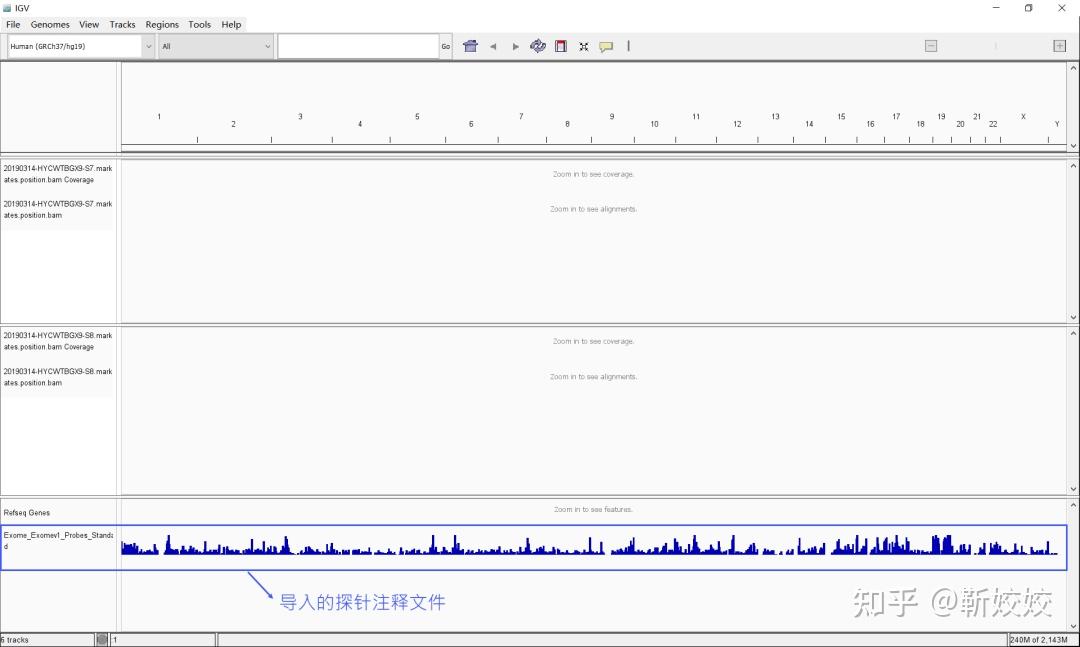 IGV快速上手指南（二）——查看靶向捕获测序数据及探针文件 - 知乎