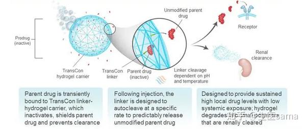 延长药物半衰期的几种方法 - 知乎