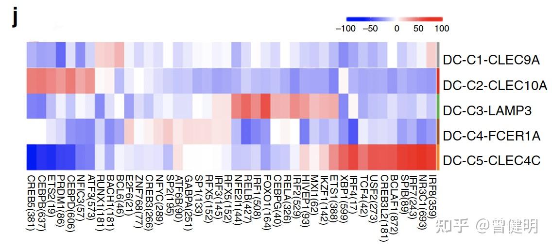 SCENIC转录因子分析结果的解读 - 知乎