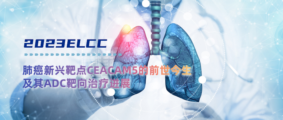 2023ELCC | 肺癌新兴靶点CEACAM5的前世今生及其ADC靶向治疗进展 - 知乎
