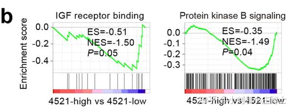 超详细解读什么是GSEA分析 - 知乎