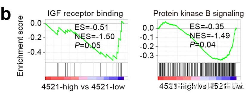 超详细解读什么是GSEA分析 - 知乎