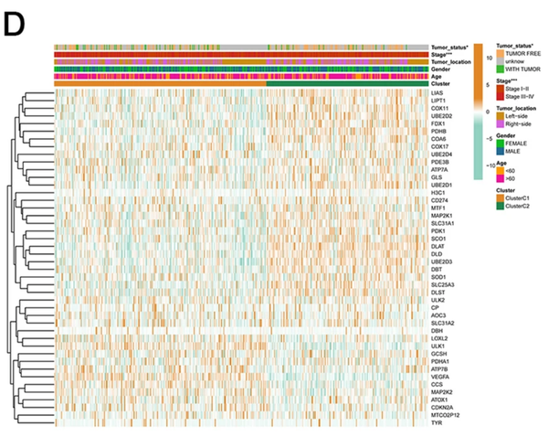【科研热点】铜死亡相关基因集 - 知乎
