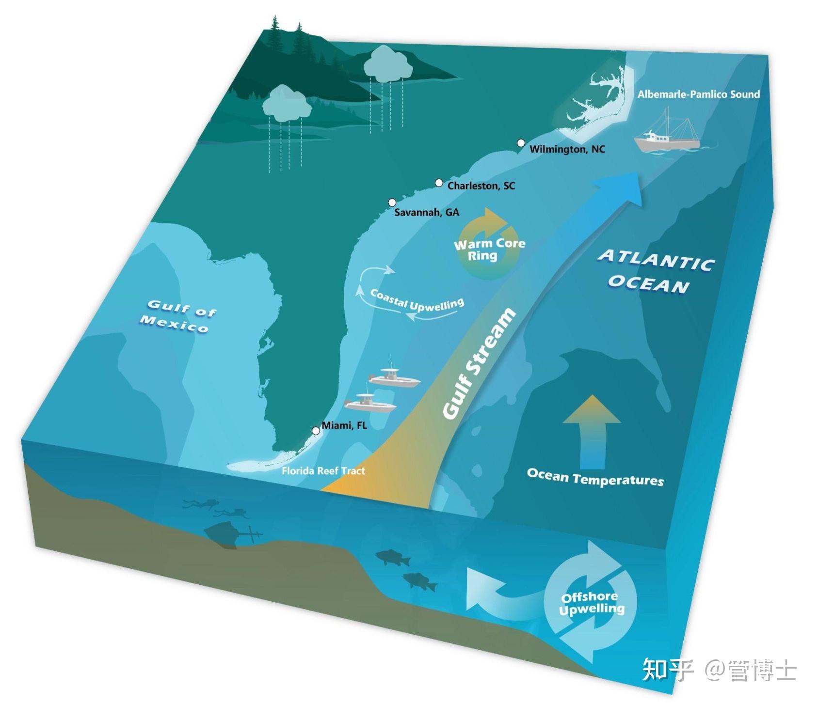 美国南大西洋海洋生态系统：转型中的生态系统 - 知乎