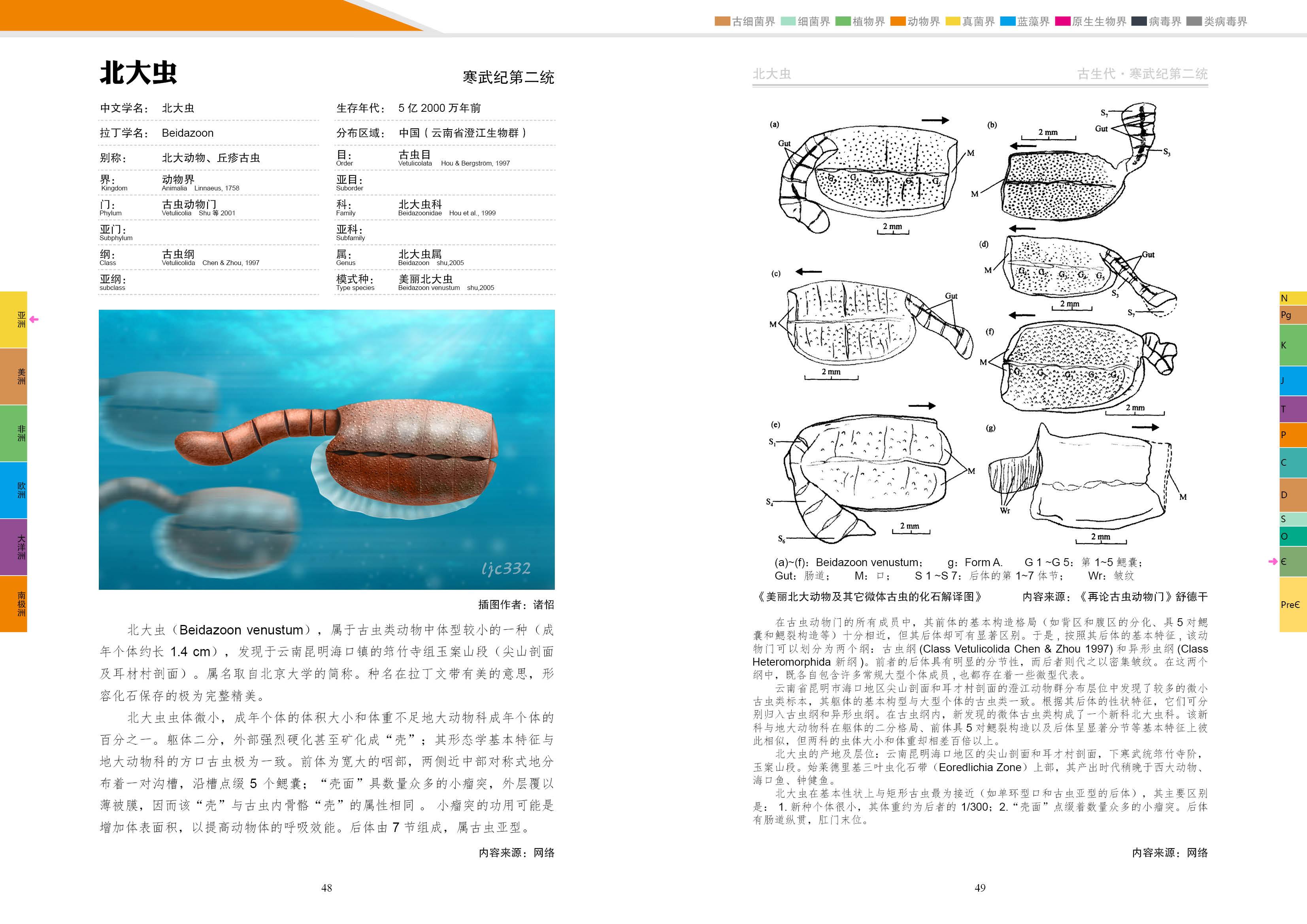 《生物简史图鉴》古虫动物门01 - 知乎