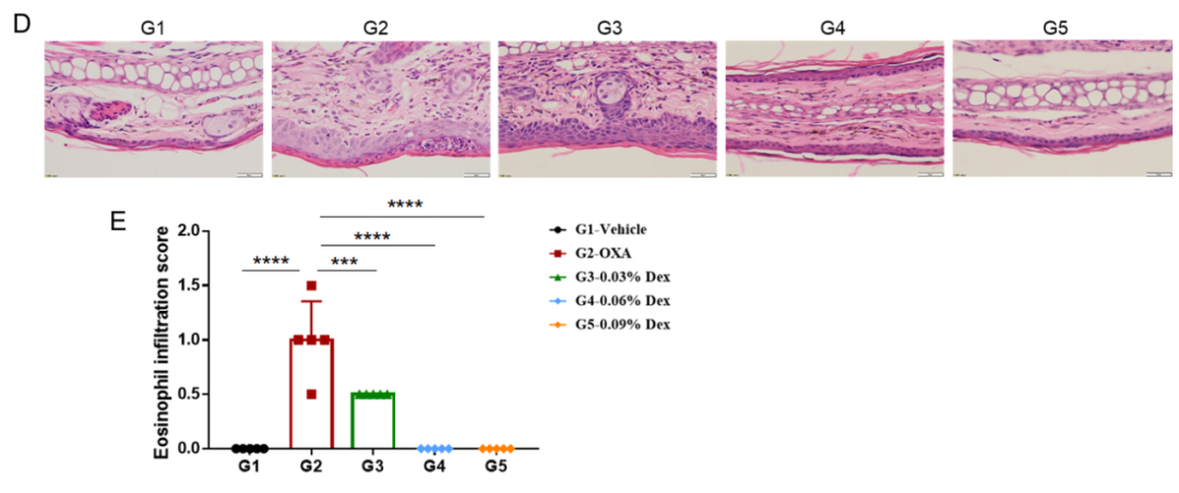 痒不怕，特应性皮炎（AD）模型 “会说话” ？ - 知乎