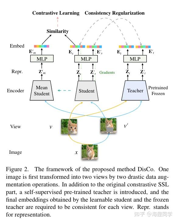 DisCo: Remedy Self-supervised Learning on Lightweight Models with ...