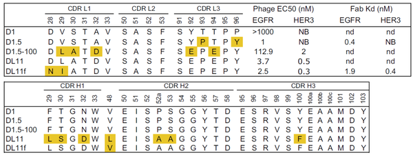 多特异性抗体：Two-in-One - 知乎