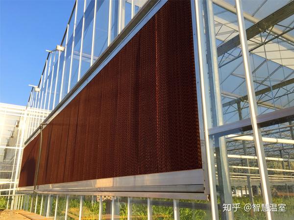 温室大棚中湿帘降温系统该如何选择？ - 知乎