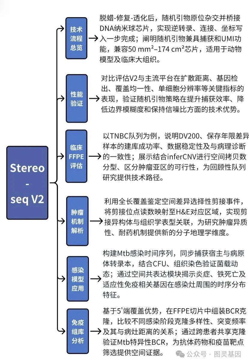 Cell ｜ 华大基因：Stereo-seq V2以单细胞精度重塑FFPE空间全转录宇宙 - 知乎