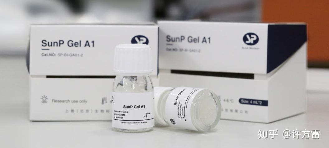 上普 SunP Biotech | 3D生物打印和制造先进生物打印产品 - 知乎