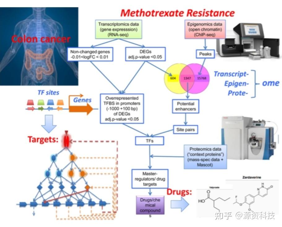 Upstream Analysis知多少？启动子-通路分析怎么做？ - 知乎