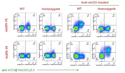 TNF受体超家族成员GITR共刺激免疫检查点分子 - 知乎