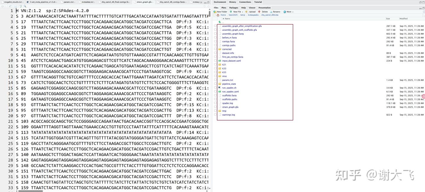 使用metaSPAdes精细组装 - 知乎