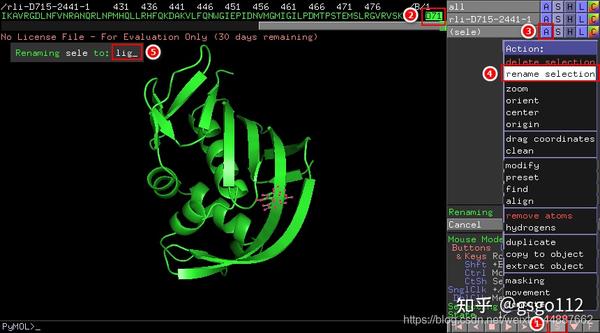 Pymol处理对接结果作图 - 知乎